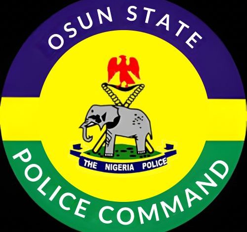 Police nab 22-year-old for spreading false bandit invasion rumors in ...